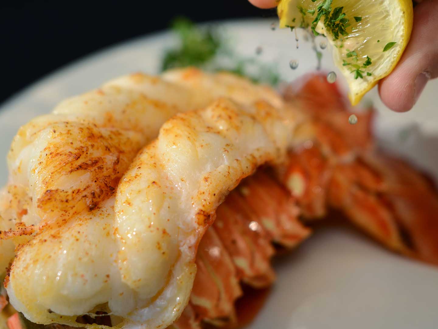 Domenico's Restaurant